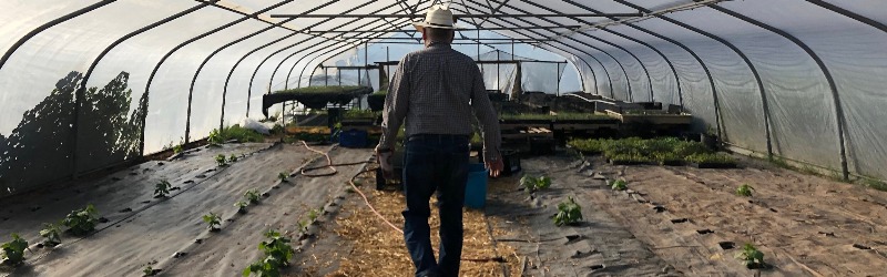 Arizona Agriculture Workforce Development Program